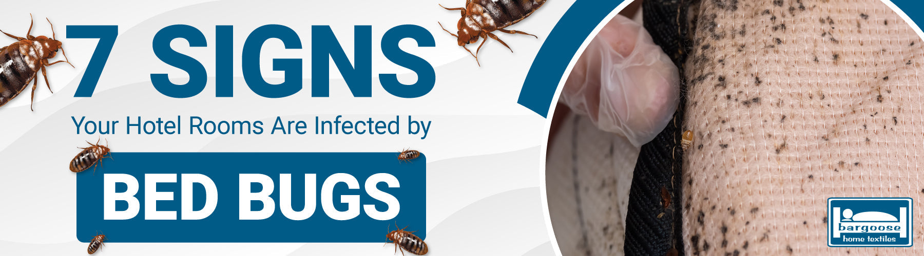 7 Signs Your Hotel Room is Infected by Bed Bugs — Bargoose Home ...
