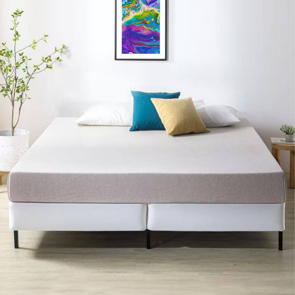 BedBug Solution™ Mattress Protectors | Bargoose — Bargoose Home ...