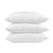 AllergyCare Allergy Relief Pillow Encasing - Queen — Bargoose Home ...